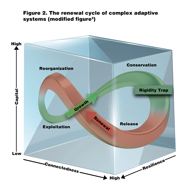 CJPL Panarchy, the collapse of the Canadian health care system, and ...